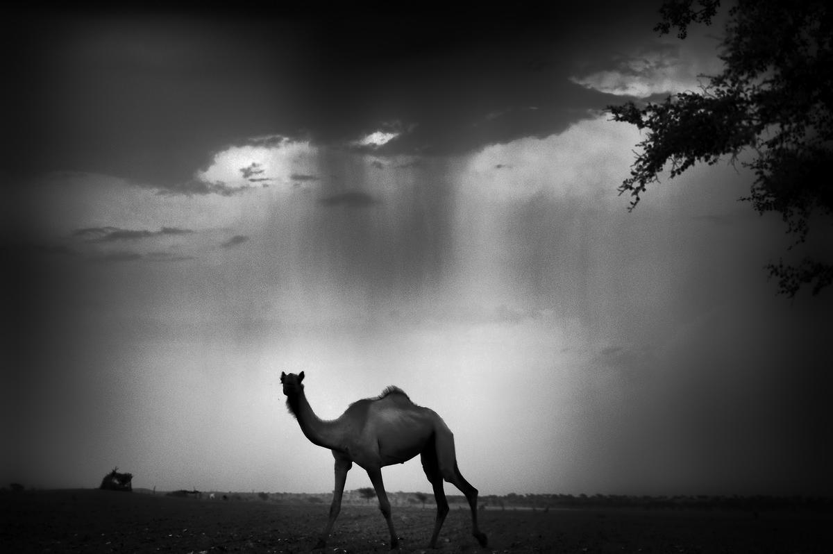 Surviving the shadowlands: Interview with Arati Kumar-Rao, artist and ...