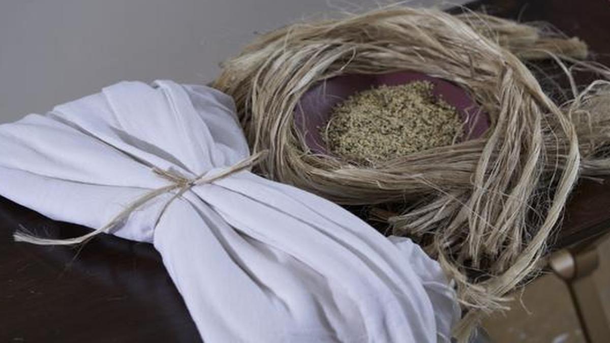 How Hyderabad is welcoming hemp in all its forms - The Hindu