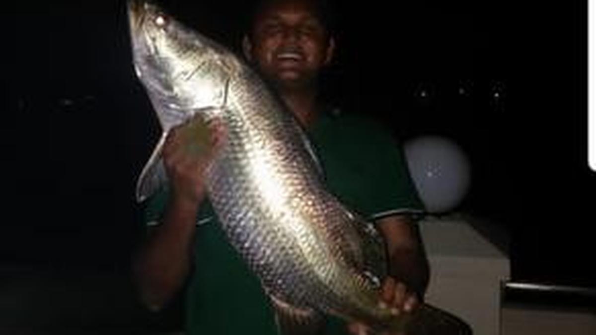 Fishing for sport grows popular in India - The Hindu