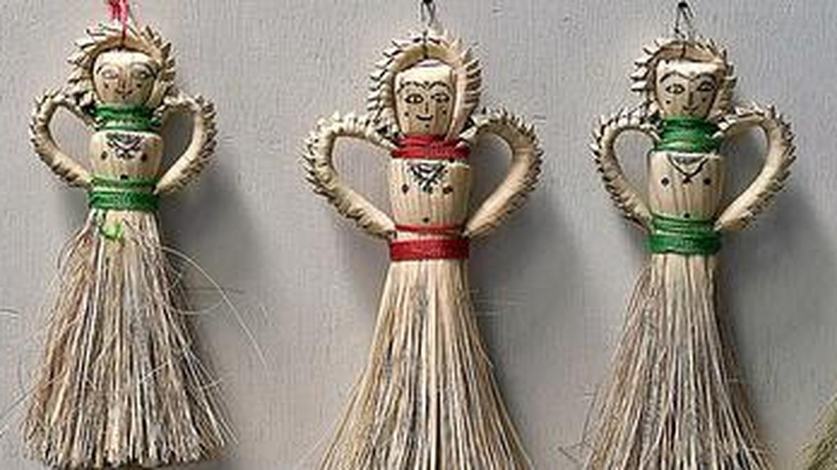 FOREST LIFE and lore - The Hindu