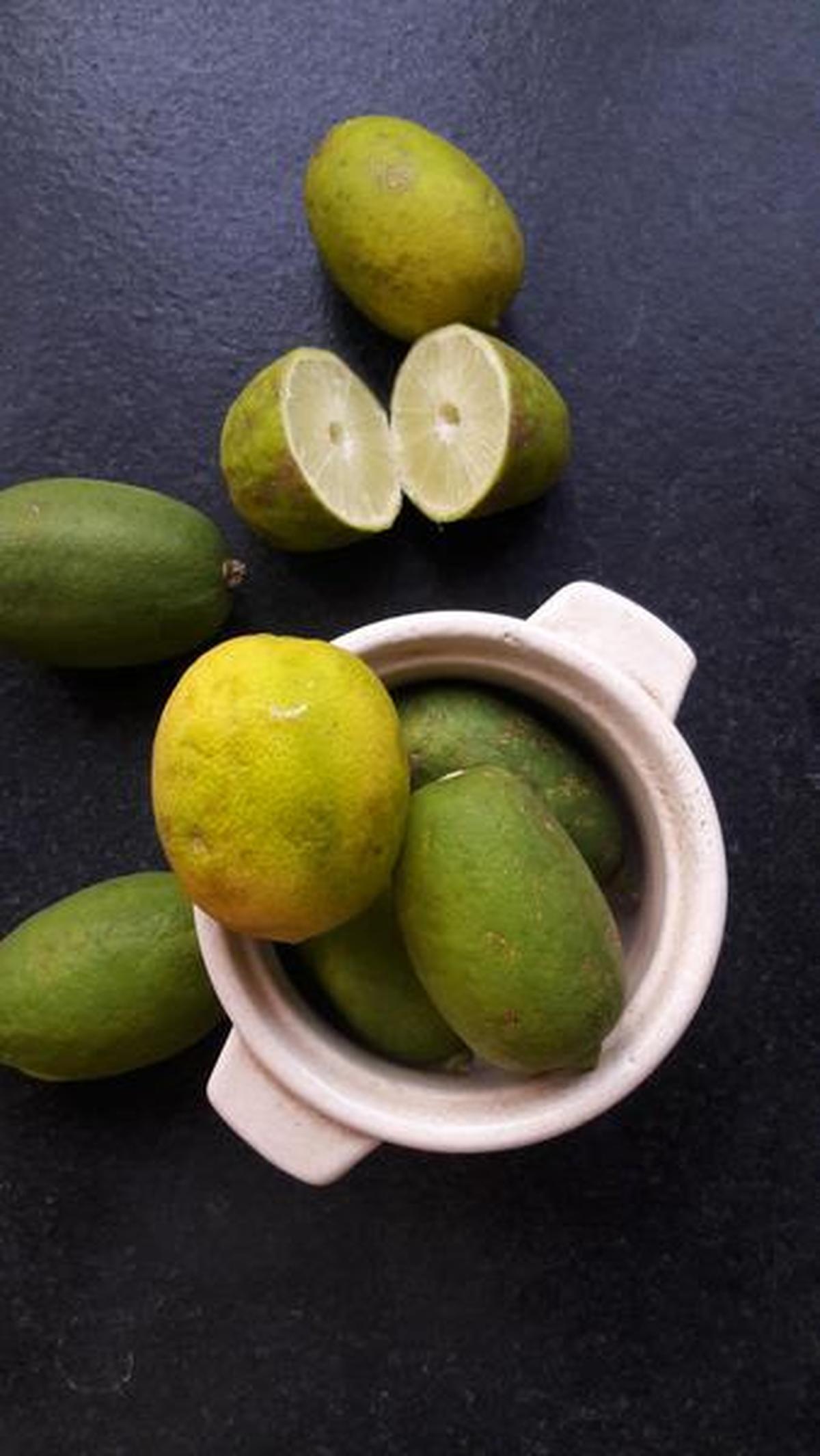 02cbmp-gondhoraj.jpg - The Hindu