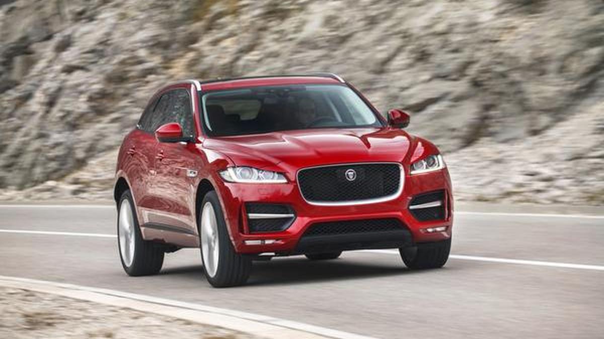 Baby on board - The Hindu