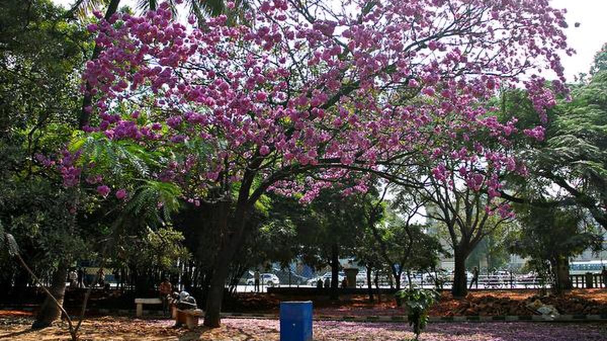 RJ Disha Oberoi on the five-year journey of her love affair with ...