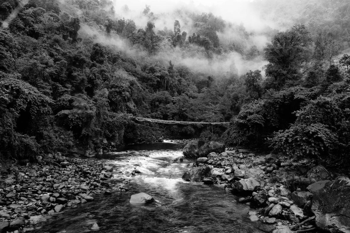 Surviving the shadowlands: Interview with Arati Kumar-Rao, artist and ...