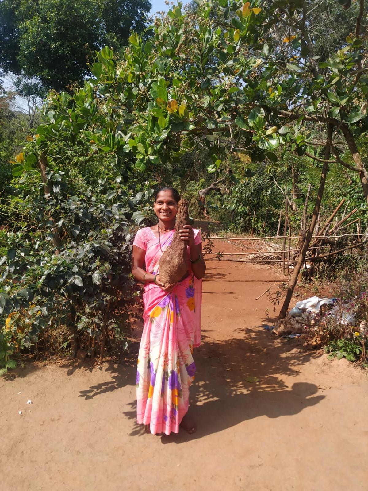 Three Bengaluru companies bringing organic produce to your doorstep ...