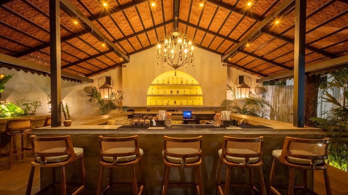 Barfly, an agave specialty bar opens in Goa - The Hindu