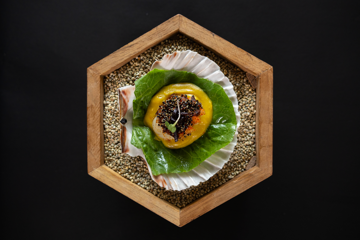 Delhi’s Tres unveils first tasting menu after over a decade - The Hindu