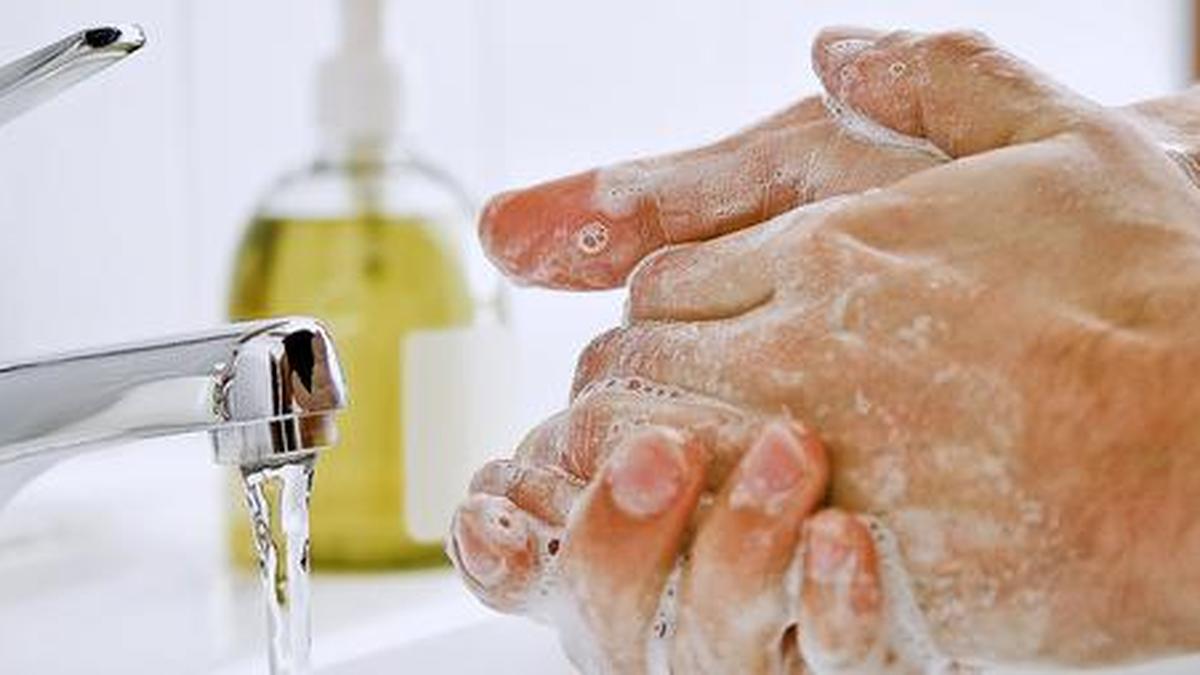 How safe is your anti-bac soap? - The Hindu