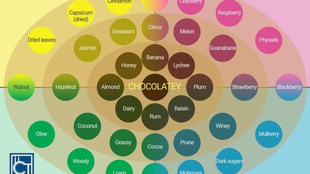 The chocolate map - The Hindu