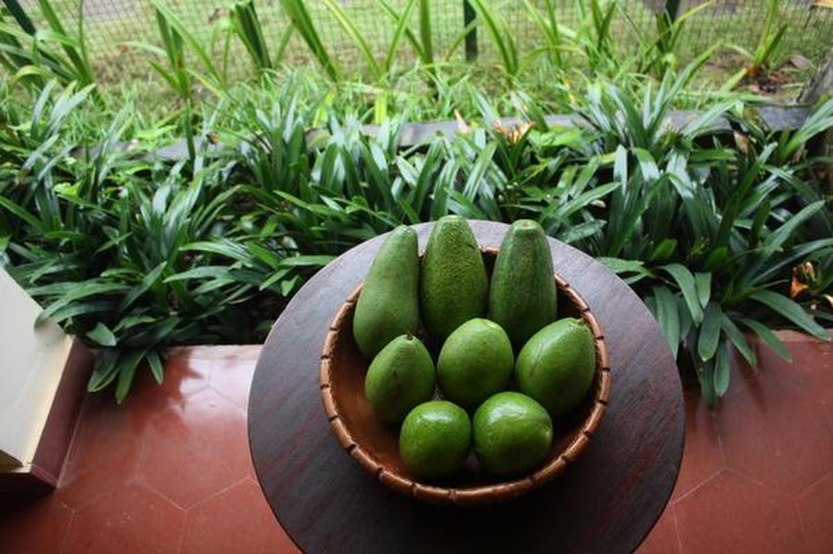 Where to avocados, white jamun, wood apple, durian, strawberry and ...