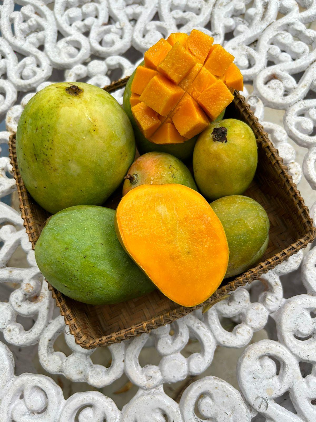 Where to find mangoes this year in Tamil Nadu - The Hindu