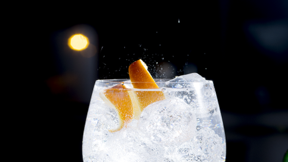 A beginner’s guide to gin - The Hindu