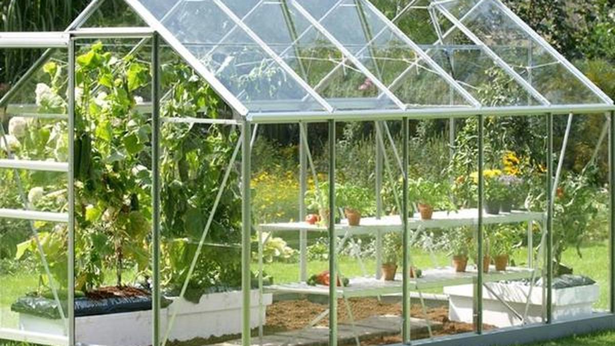 How to start an urban farm from scratch - The Hindu