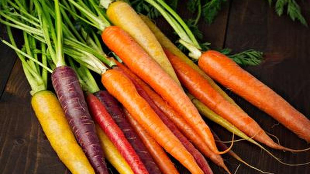 Turn to these lesser-known indigenous carrot varieties - The Hindu