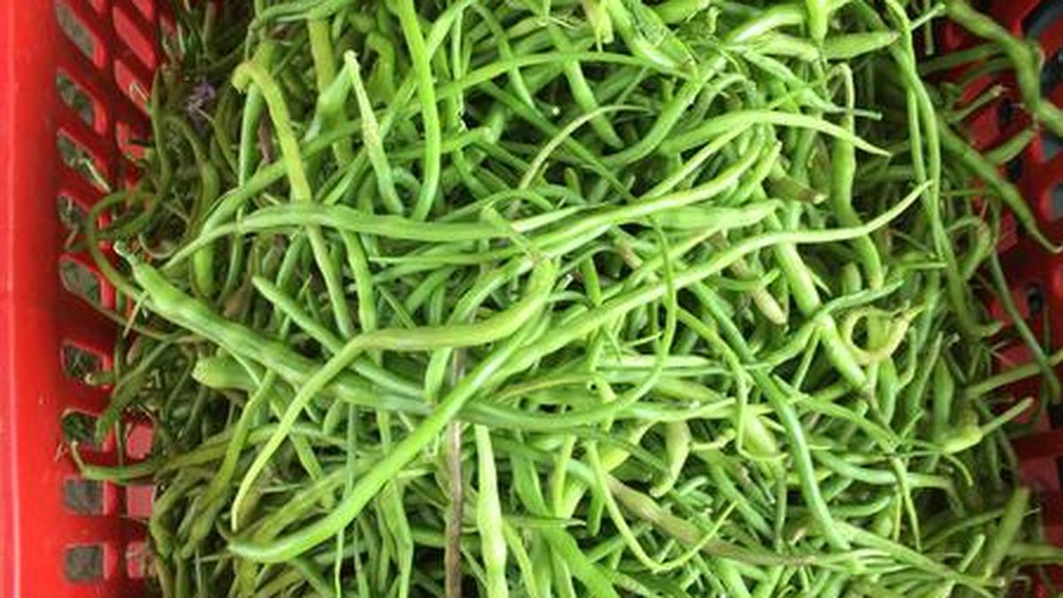 Try this local version of wasabi - The Hindu