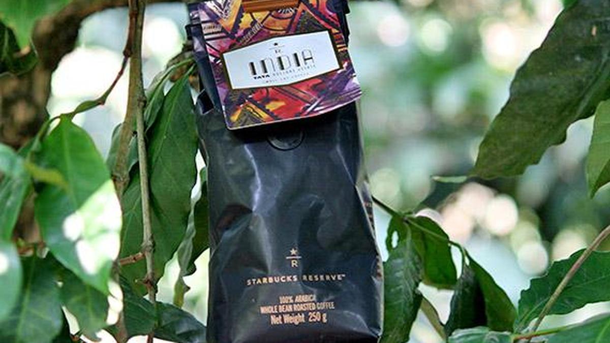 Coffee from Coorg goes to Seattle - The Hindu
