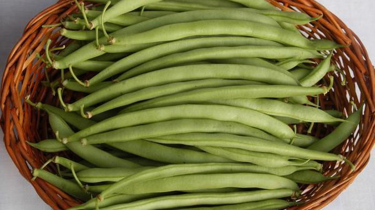 The essential kitchen garden: Kitchen and the bean stalk - The Hindu