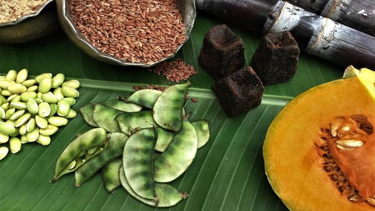 The flavours of Pongal - The Hindu