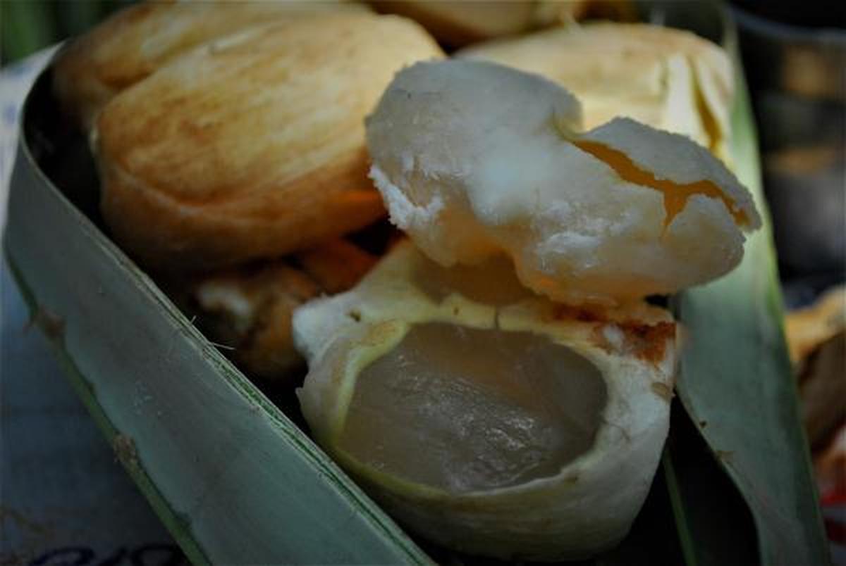 When it is nungu season in Coimbatore - The Hindu