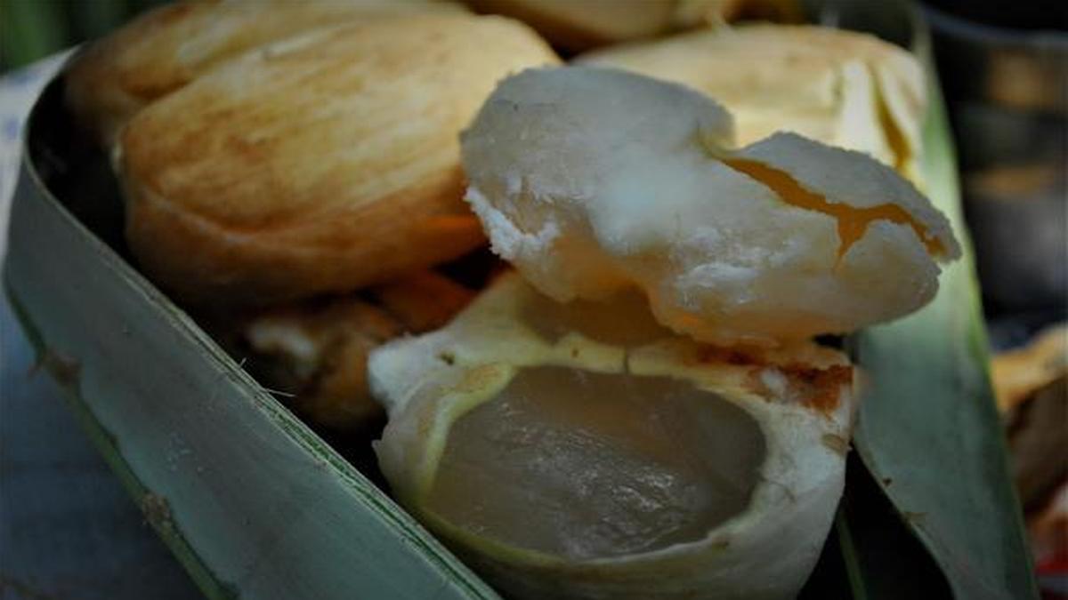 When it is nungu season in Coimbatore - The Hindu