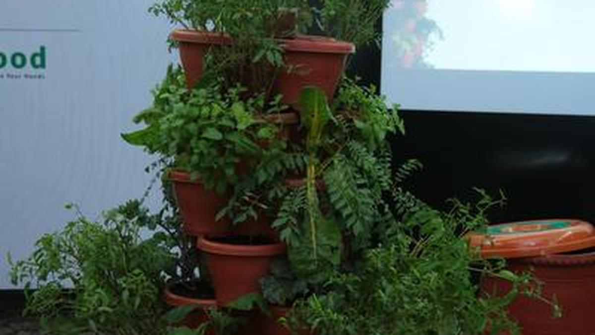 Smart kitchen garden - The Hindu