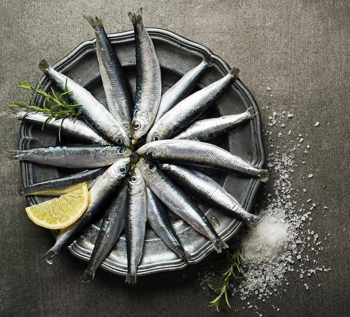 The enigmatic sardine Why the Malayali s favourite fish is in troubled waters The Hindu