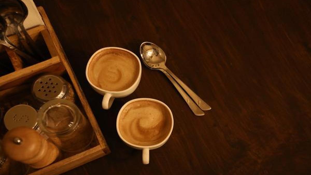 Chocko Choza has opened a new store at Avinashi Road - The Hindu