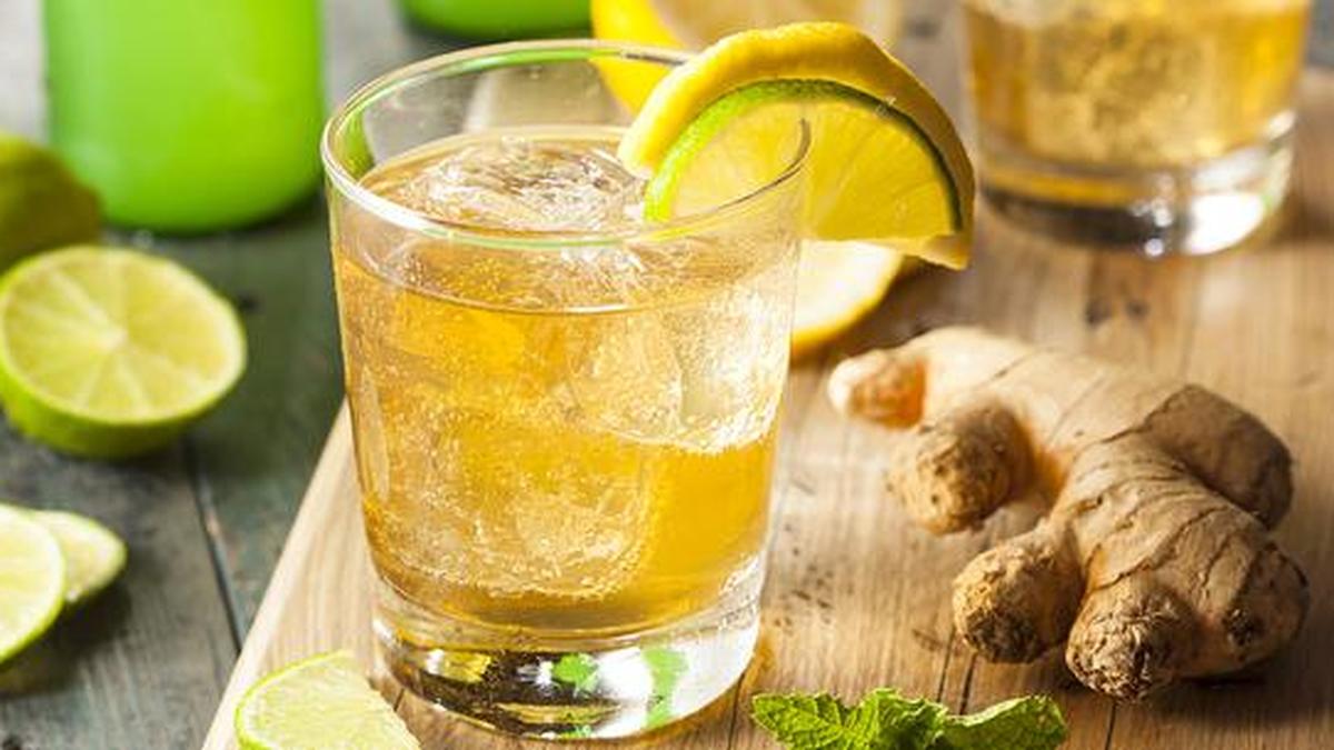 Probiotic drinks you can make at home - The Hindu