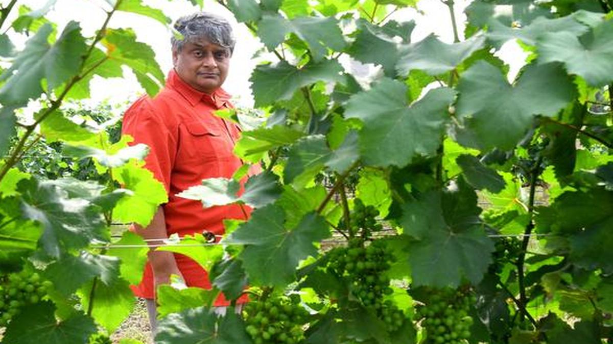 Ravi Viswanathan: The man behind India’s new wine story - The Hindu