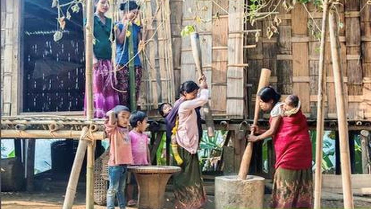 This 2019 calendar features India’s rice heritage - The Hindu