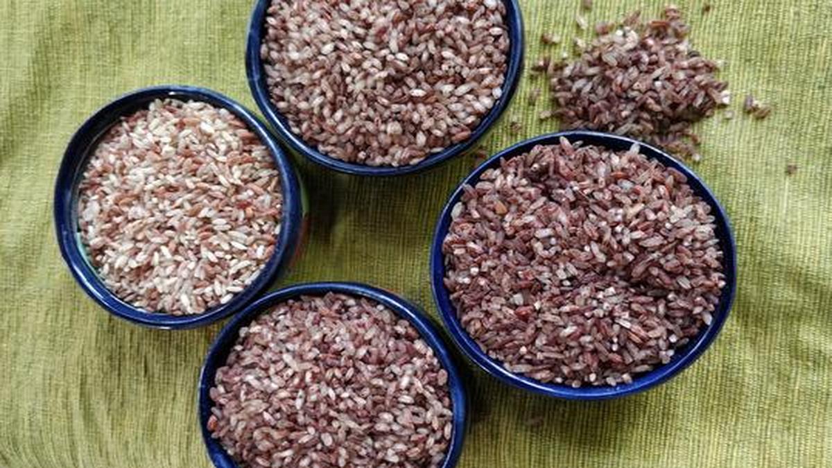 Why one should go back to the traditional red rice varieties - The Hindu