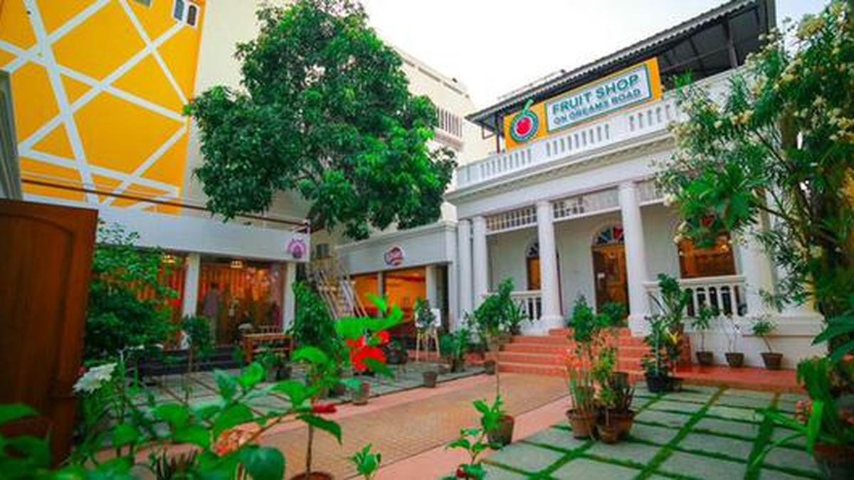 Under The Mango Tree - The Hindu