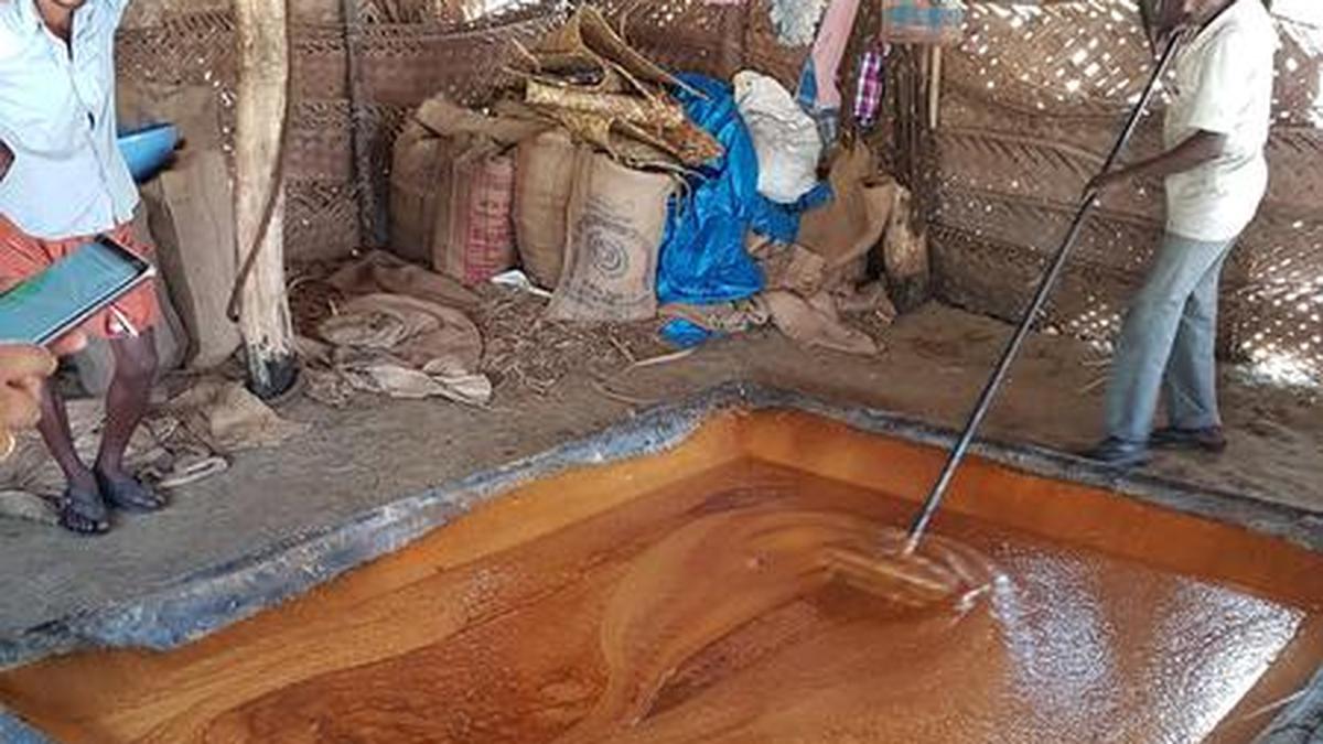 The sweetness of Marayur - The Hindu