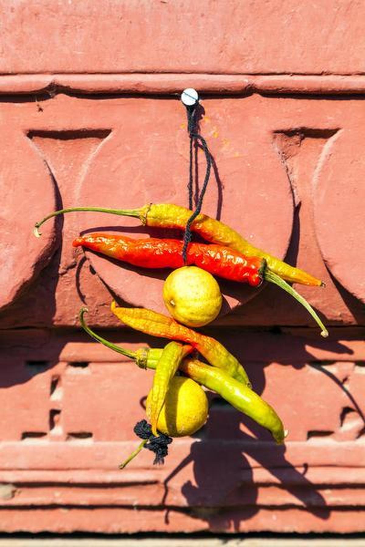 Ode to a lemon - The Hindu