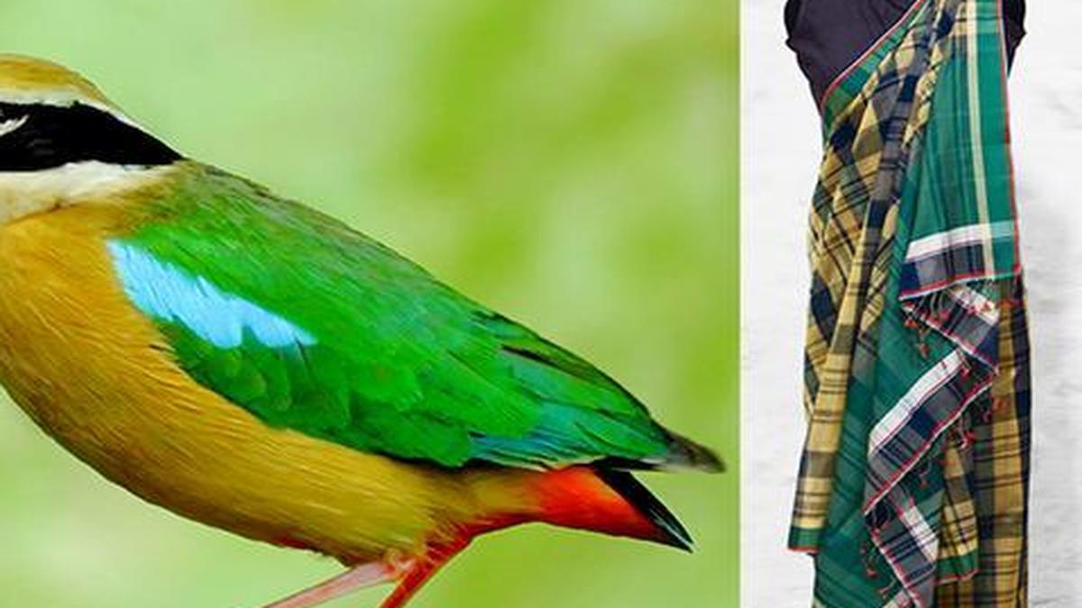 Fashion brand Ethicus brought to Madurai it’s latest collection of ...