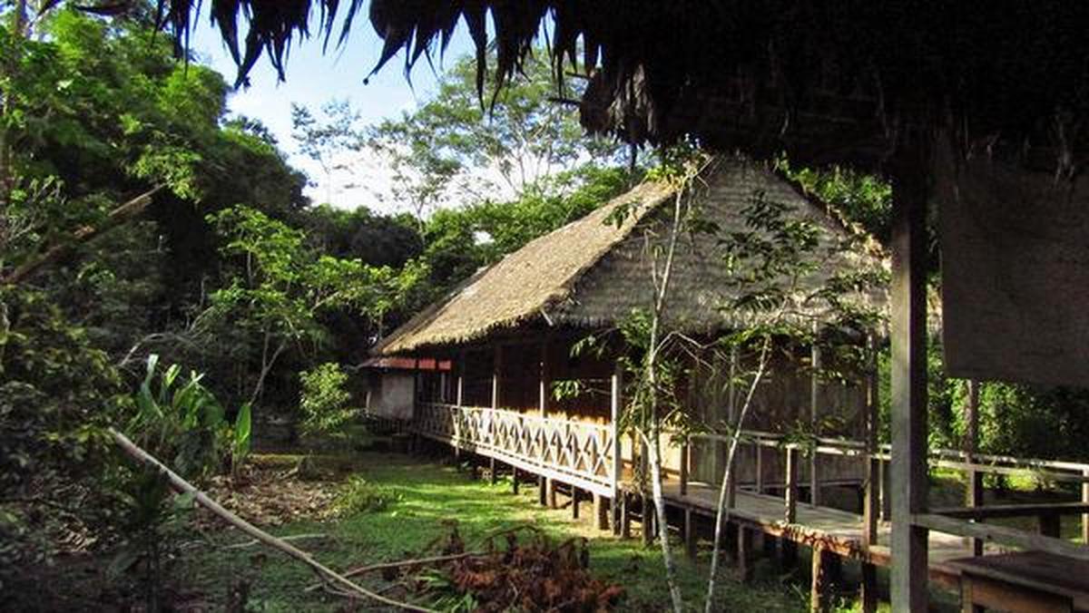 How to live in a forest - The Hindu