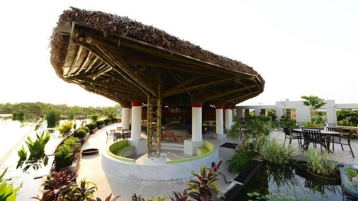 Want a ‘rurban’ way of life? Organo Naandi has a solution - The Hindu