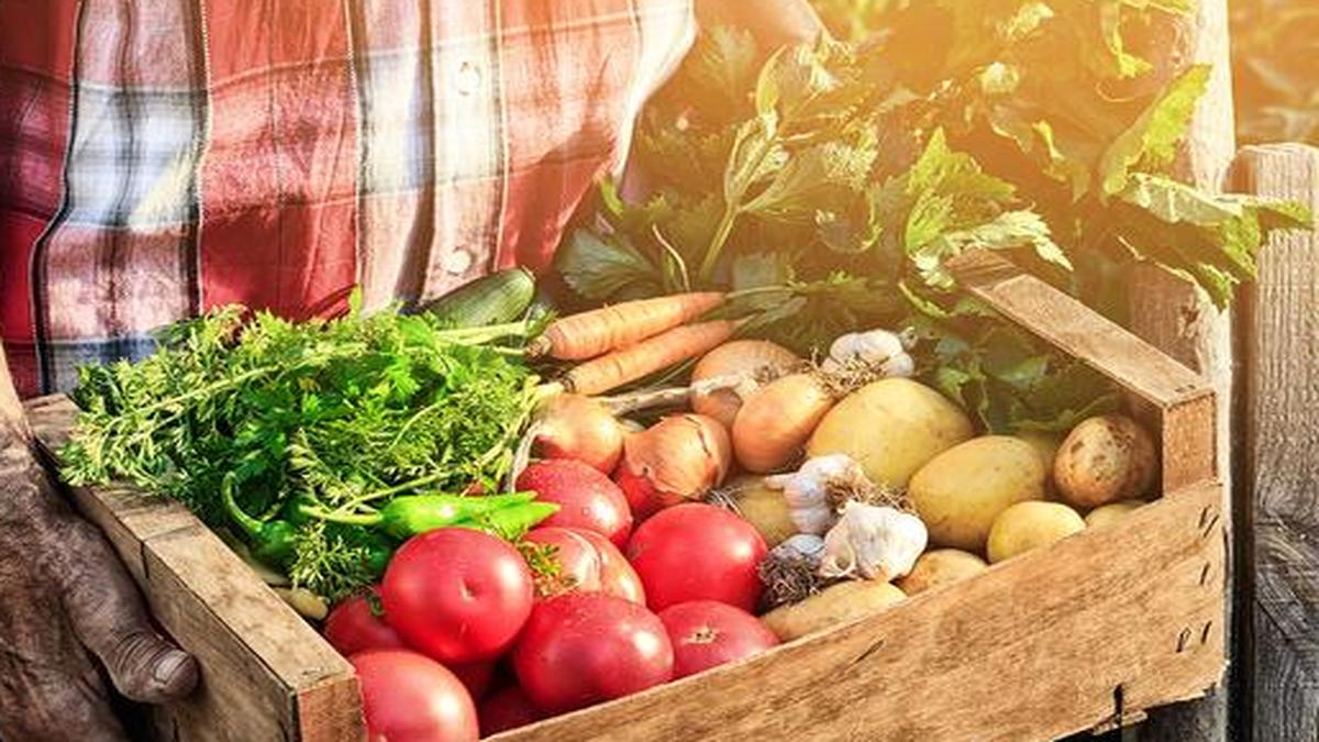 10 reasons to grow organic - The Hindu