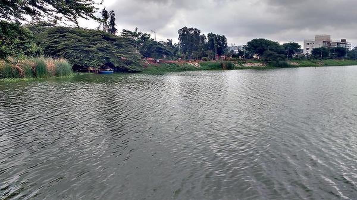 Saving lakes - The Hindu