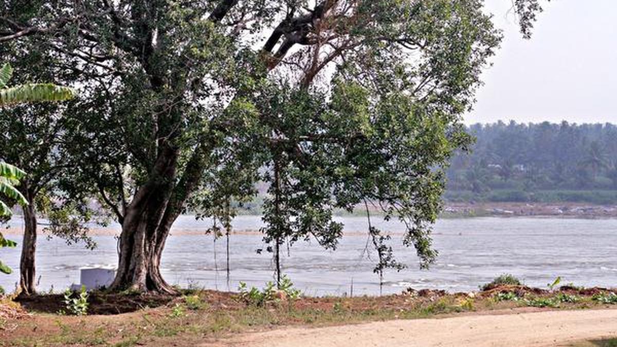 How to save rivers and cities - The Hindu