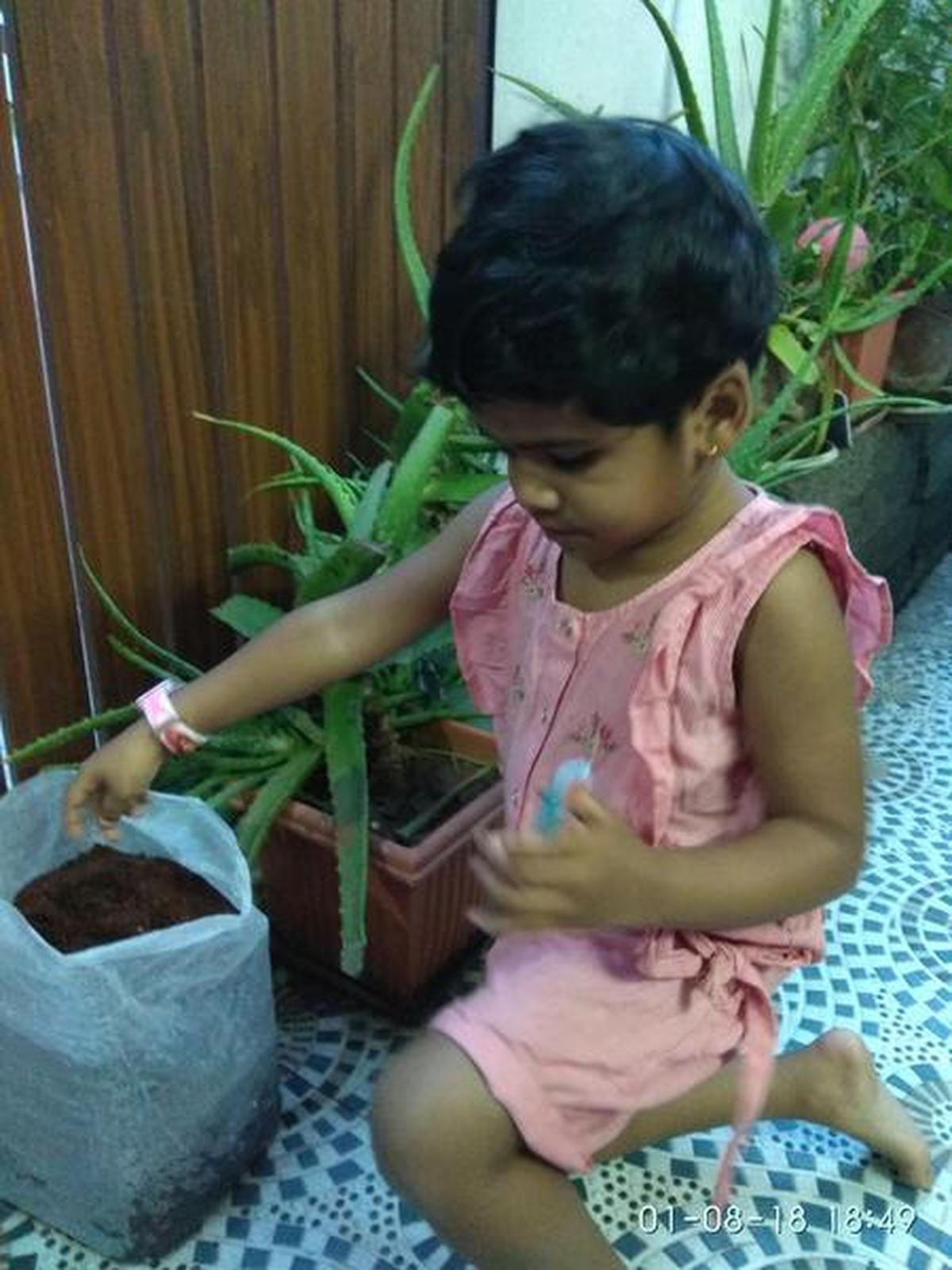 An activity-filled organic farming kit for children - The Hindu