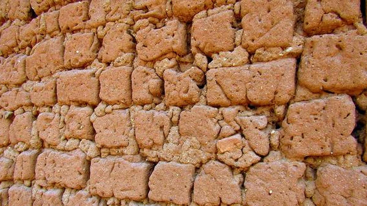 The great wall of India - The Hindu