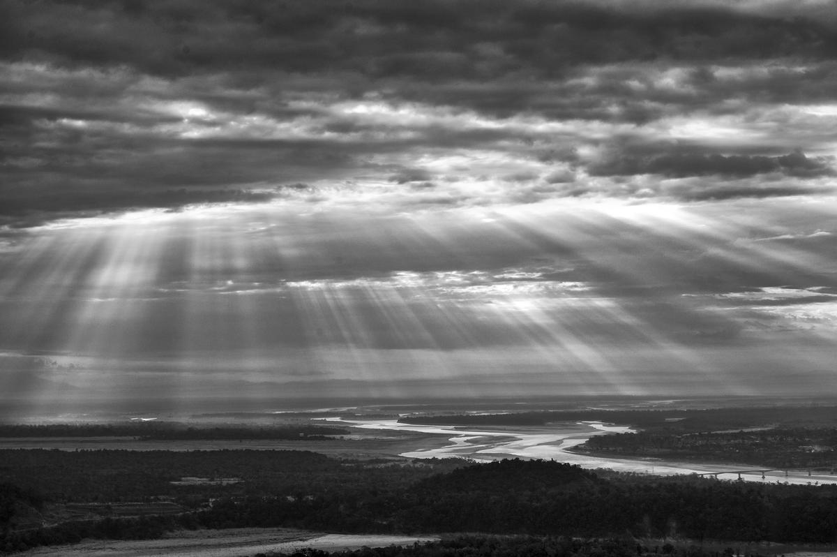 Surviving the shadowlands: Interview with Arati Kumar-Rao, artist and ...