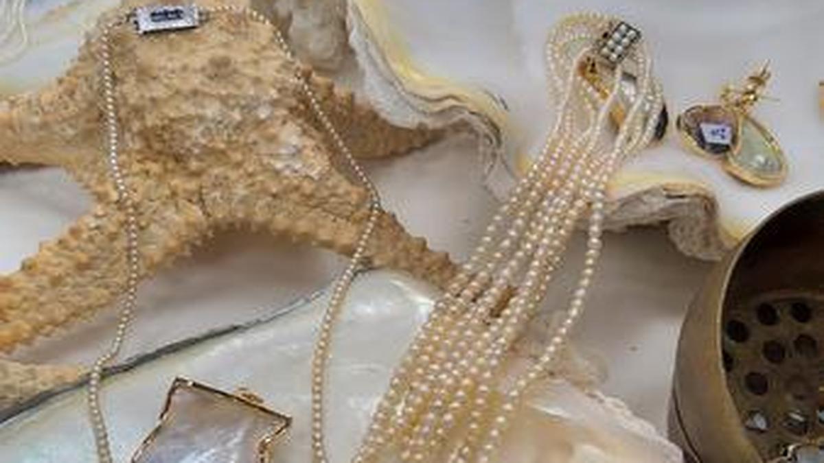 Bahrain’s pearls and present - The Hindu