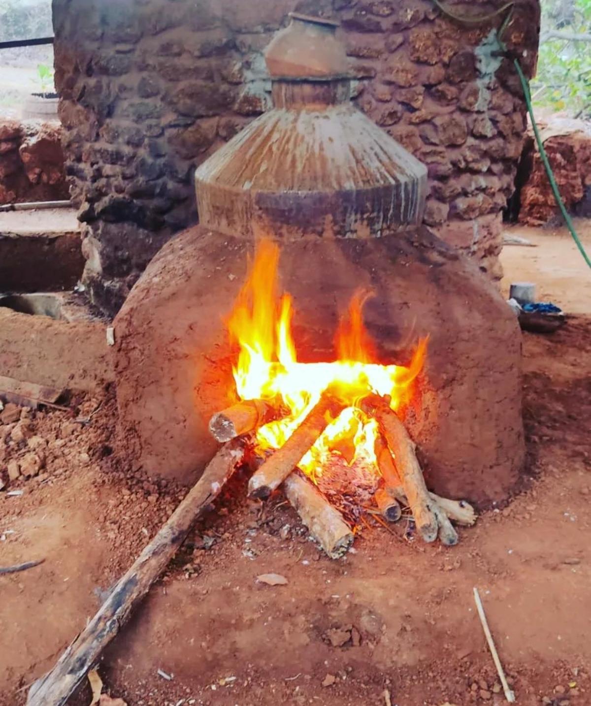 How to enjoy feni season right now in Goa - The Hindu