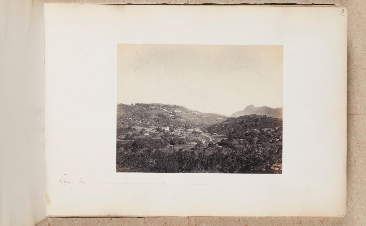 Column | Why gaurs are tumbling down the Nilgiris - The Hindu