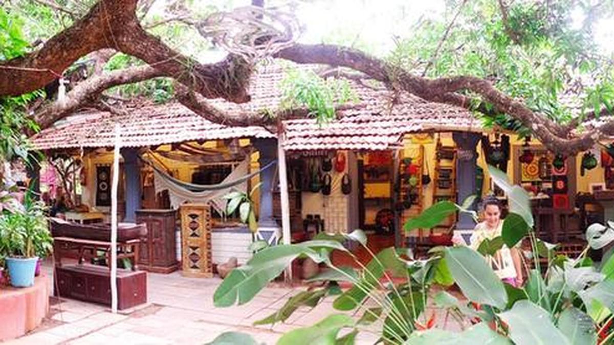The artist’s guide to Goa - The Hindu