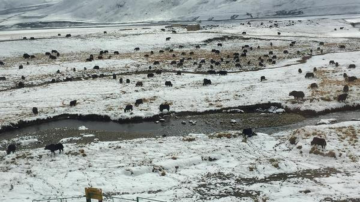 Somewhere over the rail line - The Hindu