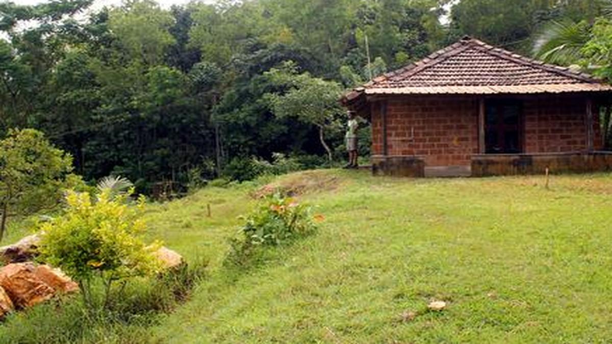 The return of the native - The Hindu