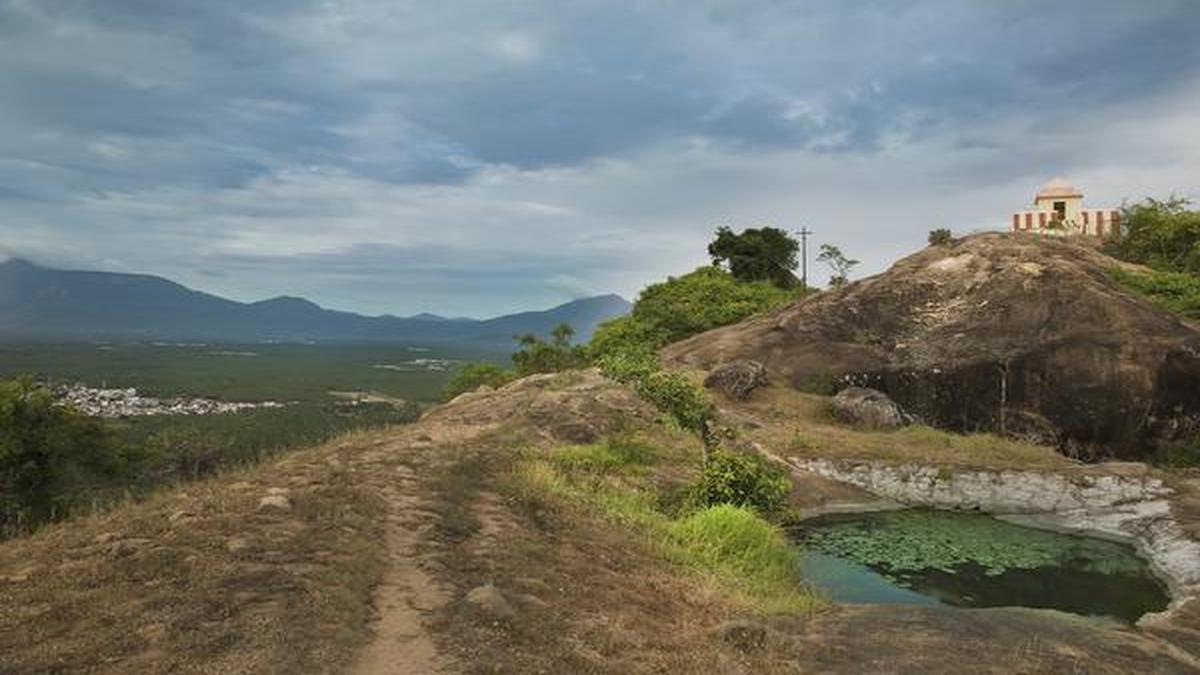 A town called Pollachi - The Hindu